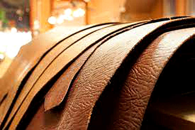 What is Buffalo Leather? The Power House - LeatherNeo